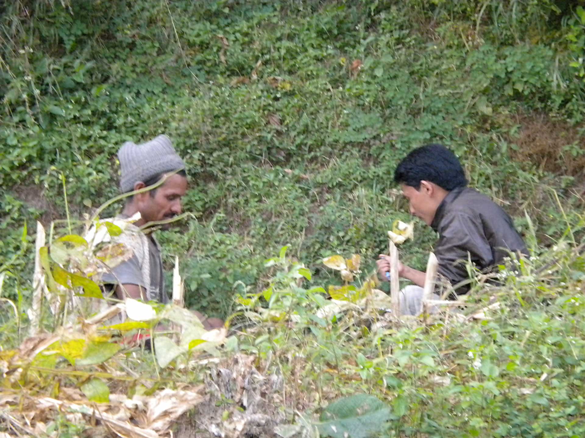 Death of Appropriate Technology II : How to Design for the Market - Dr ...